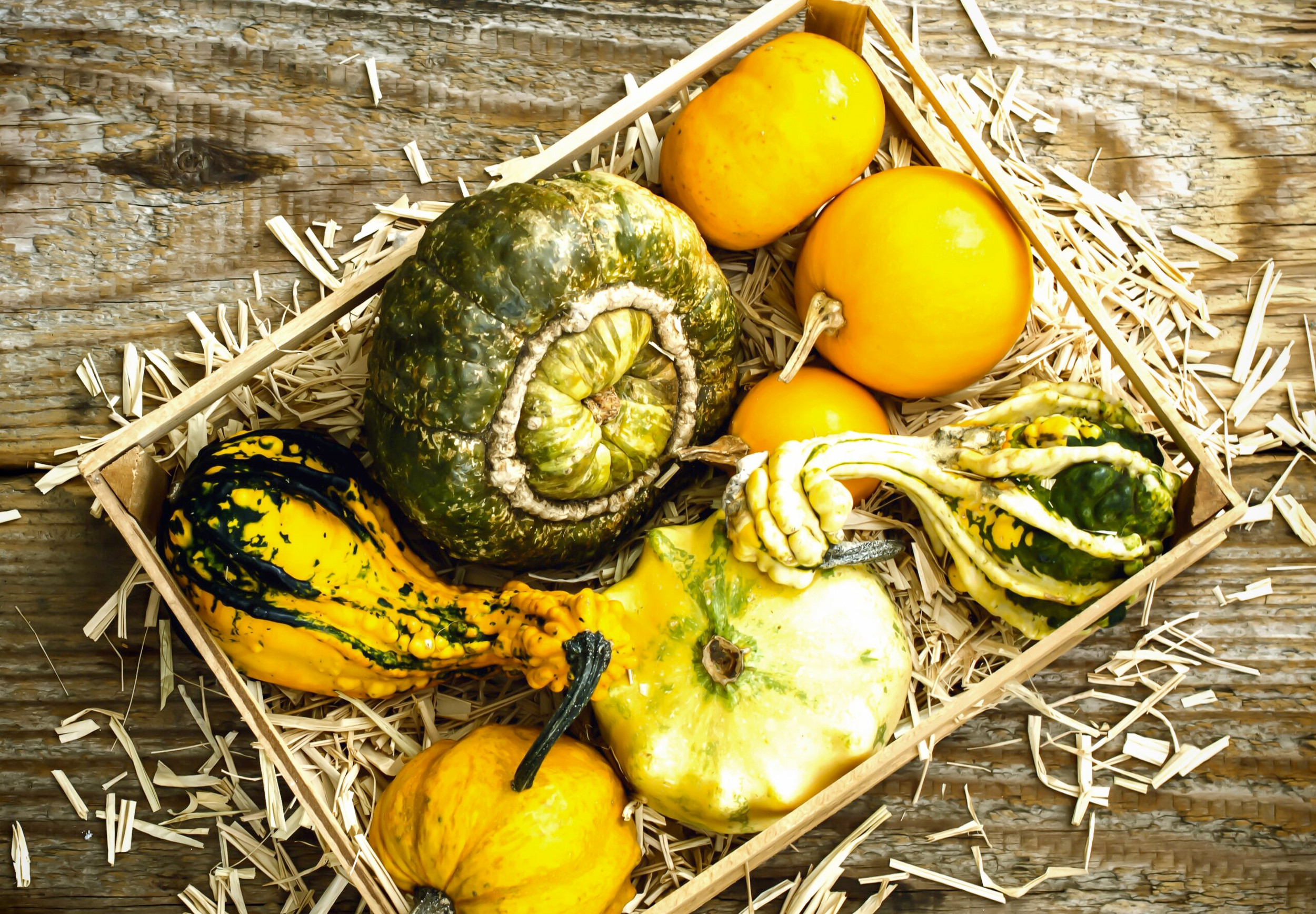 Eating Seasonally: A Tasty Adventure Through the Seasons