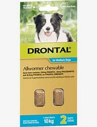 Drontal Medium Dogs 2 Chews | Pet Menu
