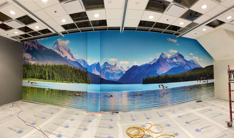 Window + Wall Graphics | Turner Signs | Custom Signs | Calgary Alberta