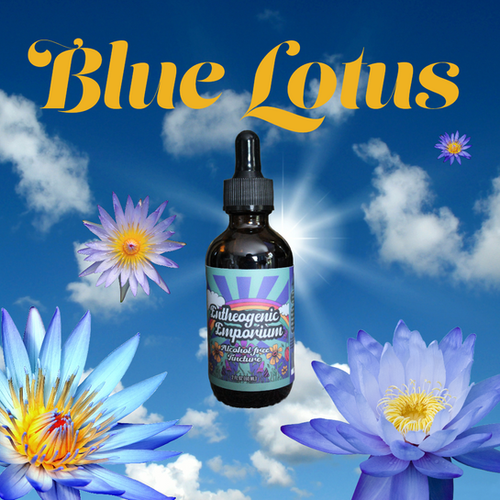 Blue Lotus Tincture – Alcohol-Free 2-oz| Roots Kava Bar