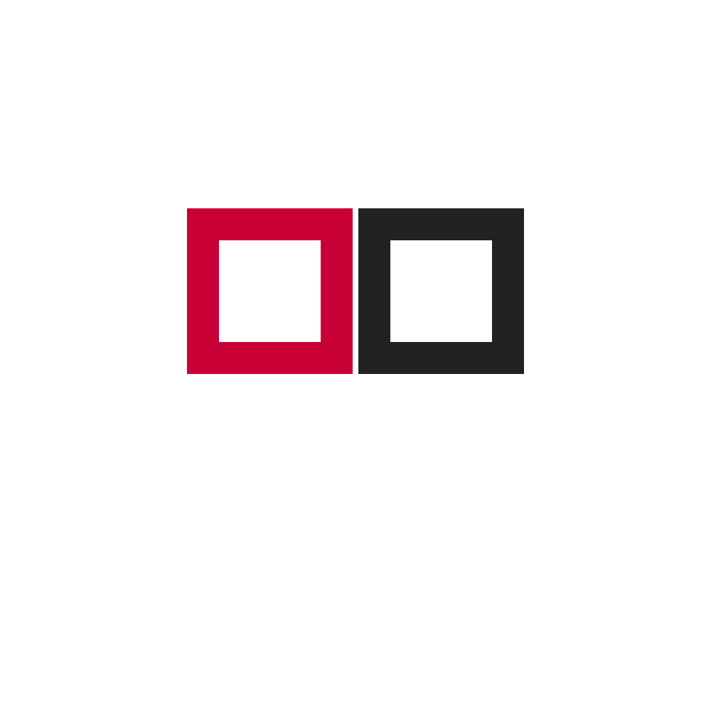 Portfolio | Dual-Pixels Studio