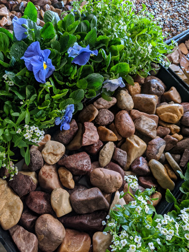 Rainbow Canyon 1-2" Cobble | StoneCover Quarries