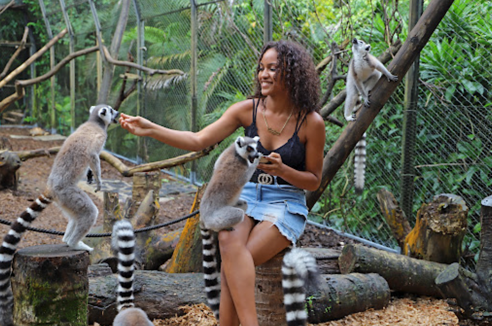 Discover La Vanille Nature Park in Mauritius - A Breathtaking Adventure