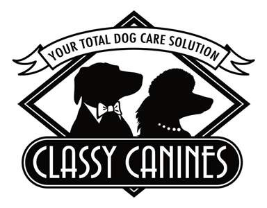 Gallery | classy-canines