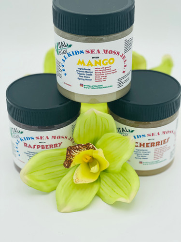 Vital Kids Sea Moss Jelly | Vital Vegan Inc