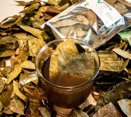 Wild Crafted Sour Sop Leaves | Vital Vegan Inc