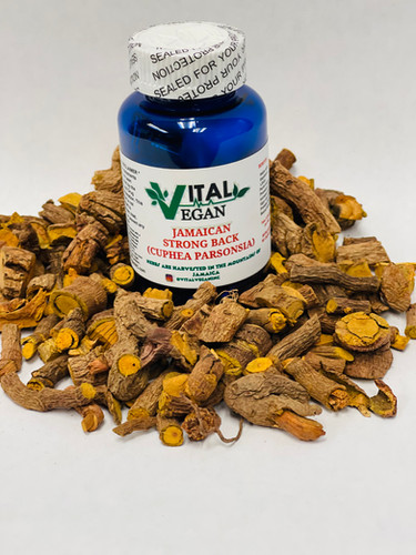 Jamaican Strongback Capsules | Vital Vegan Inc