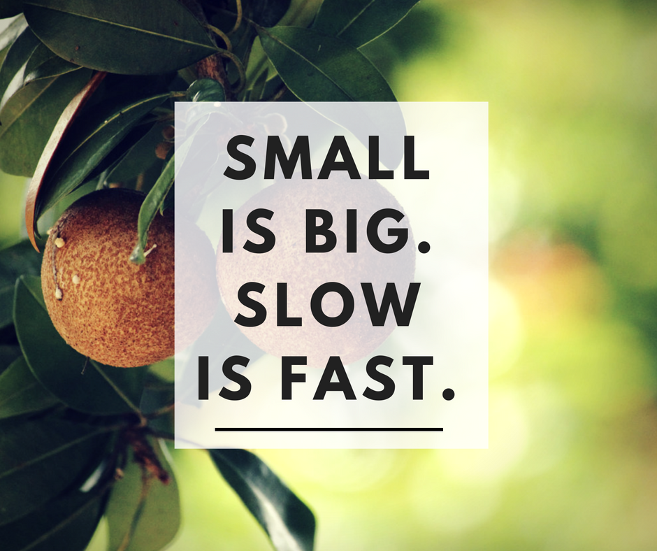 Small is Big. Slow is Fast.