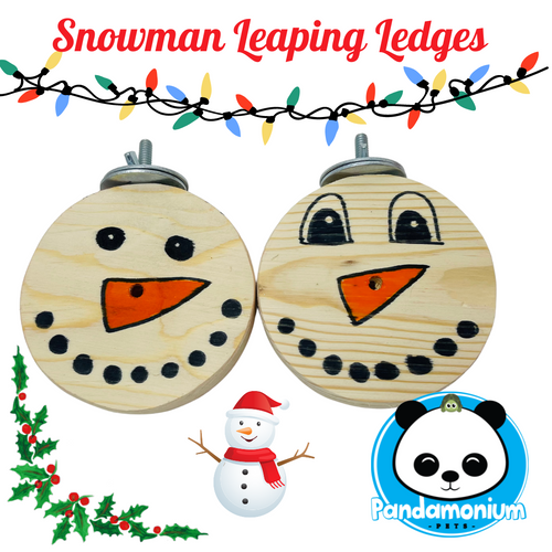 Snowman Leaping Ledges | Pandamonium Pets