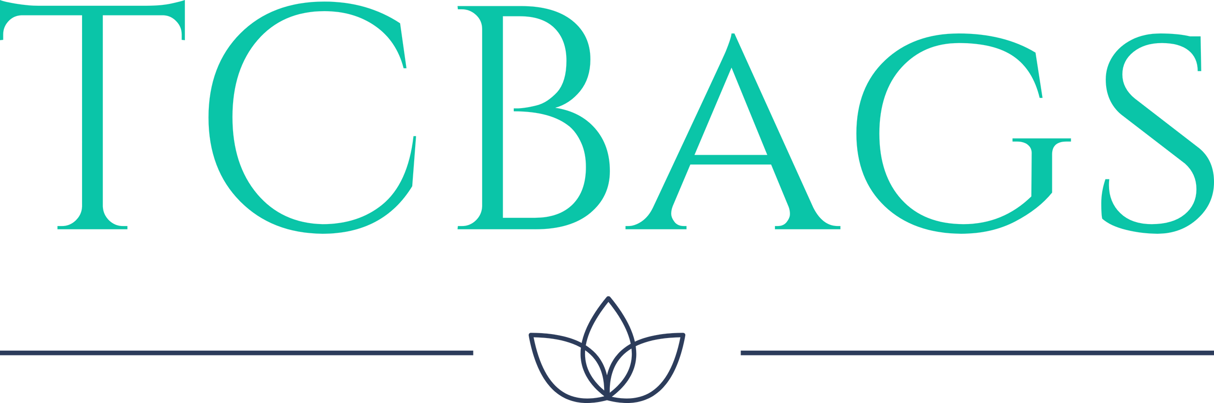 Handmade Totes | Tc Bags