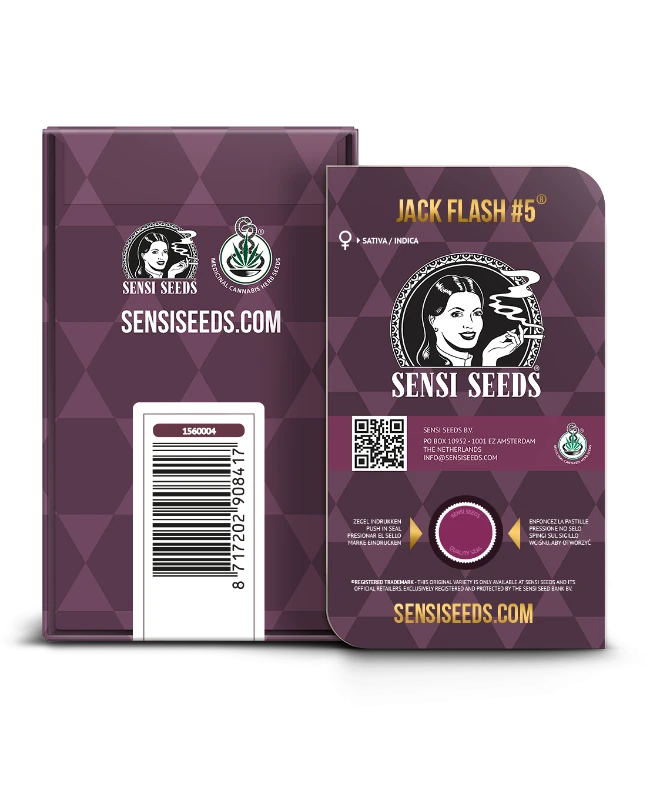 Jack Flash #5 x3 Sensi Seeds | Farmers Seeds