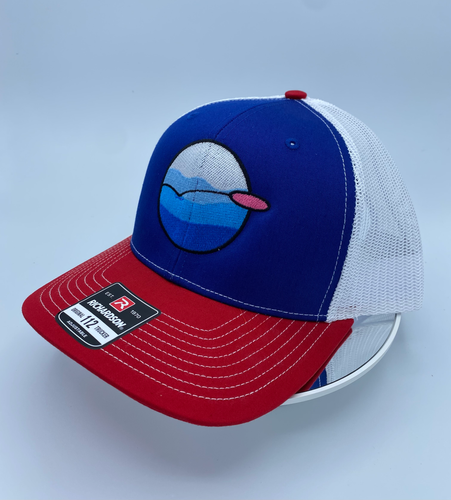 Slippery Saucers DG Snapback Hat | Slippery Saucers DG