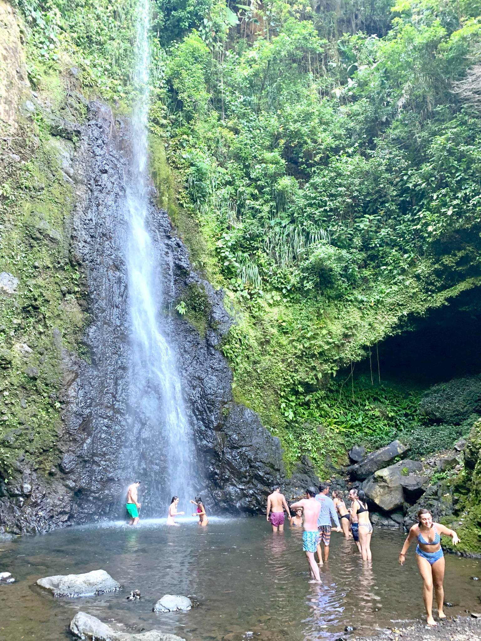Roca Partida Veracruz│Lancha - Senderismo - Cascacadas│Monkey Fish