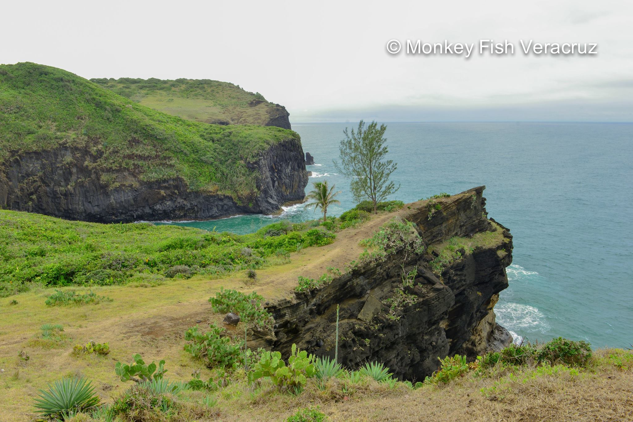Roca Partida Veracruz│Lancha - Senderismo - Cascacadas│Monkey Fish