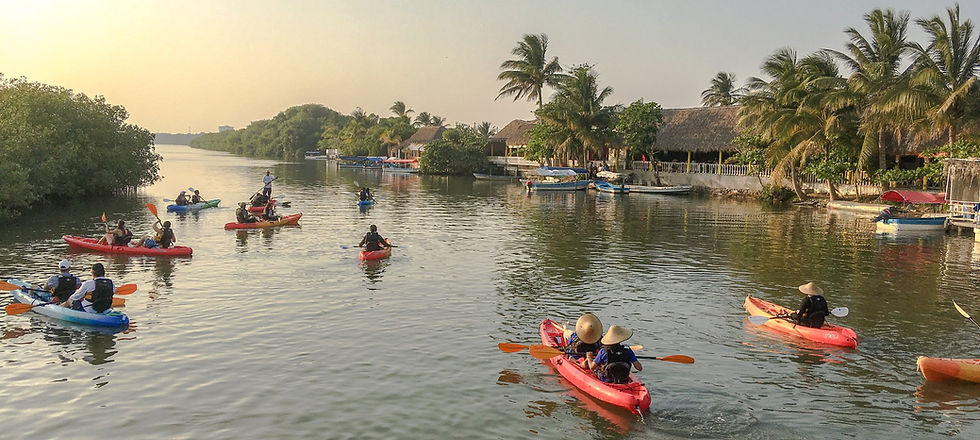 Remada al atardecer │Isla de las conchas - Manglares de Mandinga