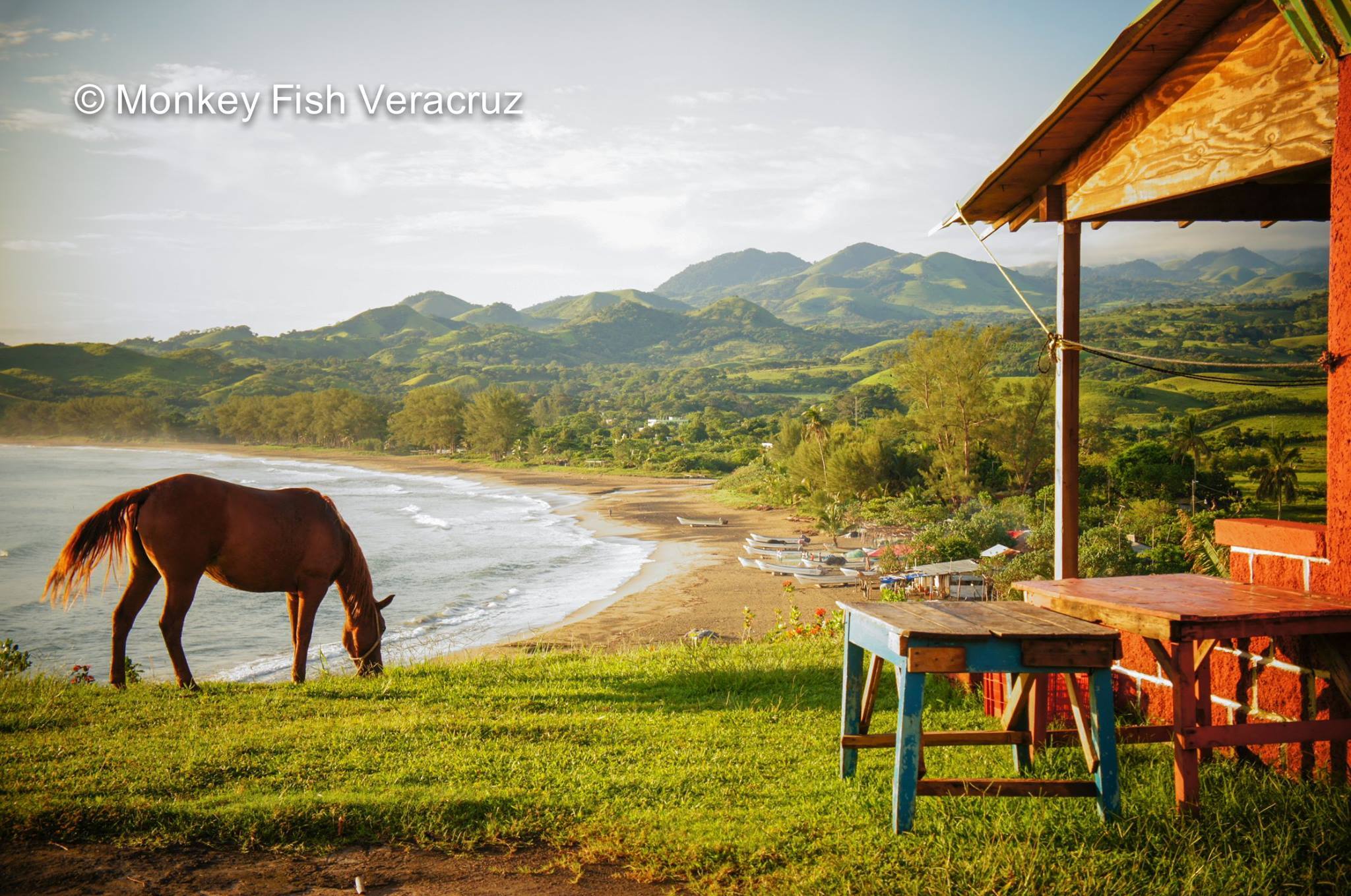 Roca Partida Veracruz│Lancha - Senderismo - Cascacadas│Monkey Fish