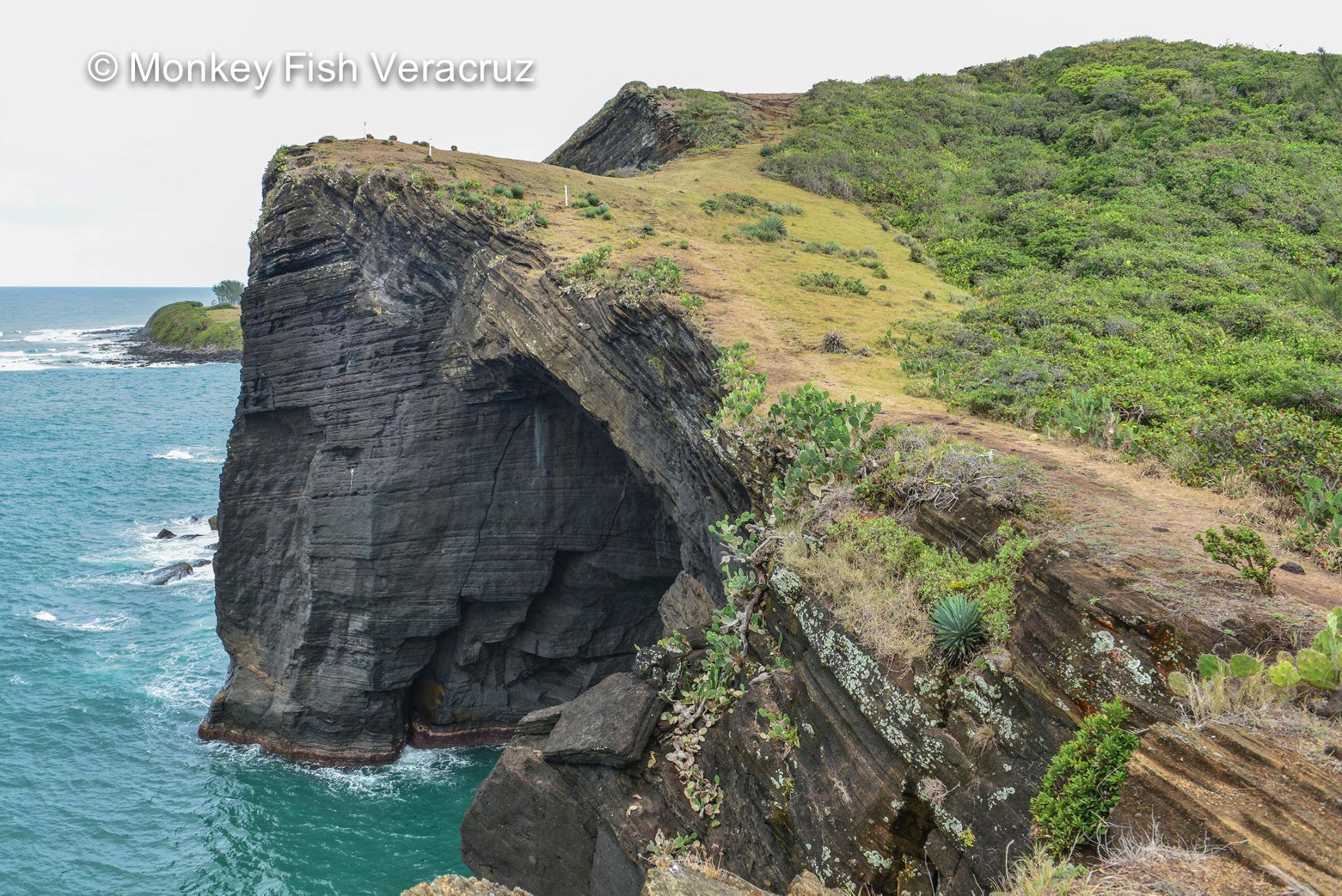 Roca Partida Veracruz│Lancha - Senderismo - Cascacadas│Monkey Fish