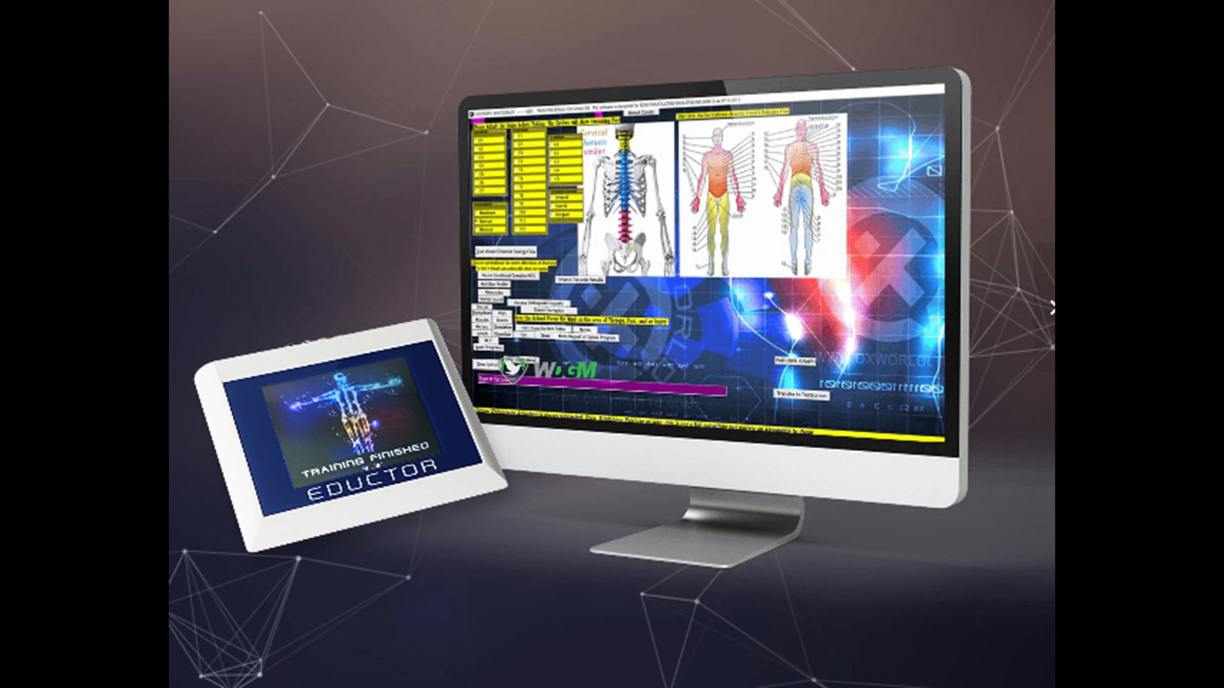 Happy Healthy Home | Ronda Reinke | Quantum Biofeedback Specialist