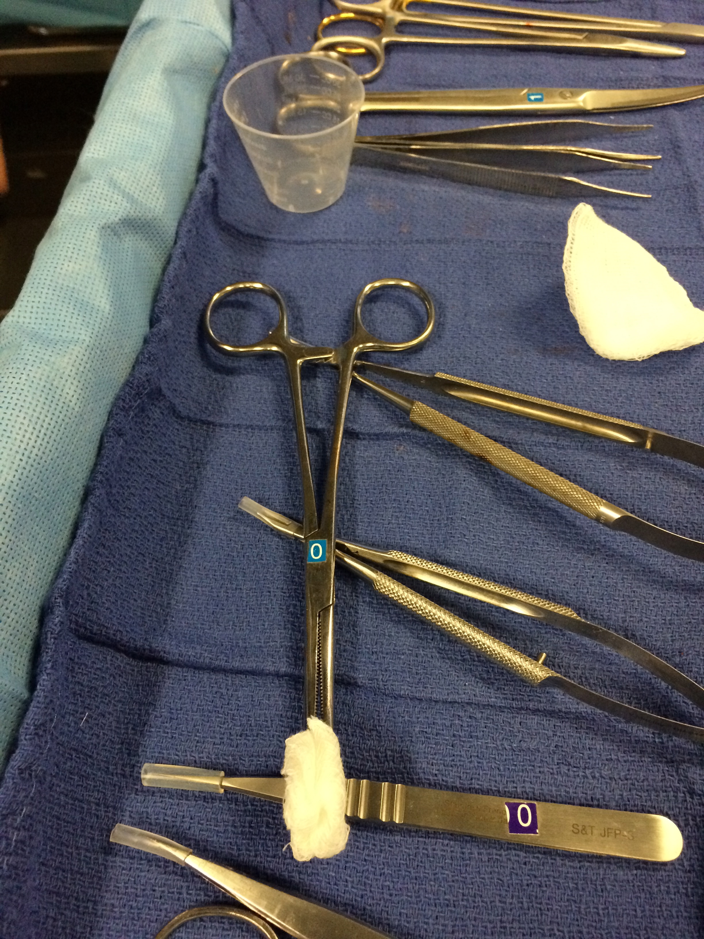 Medical Prop Rentals | website