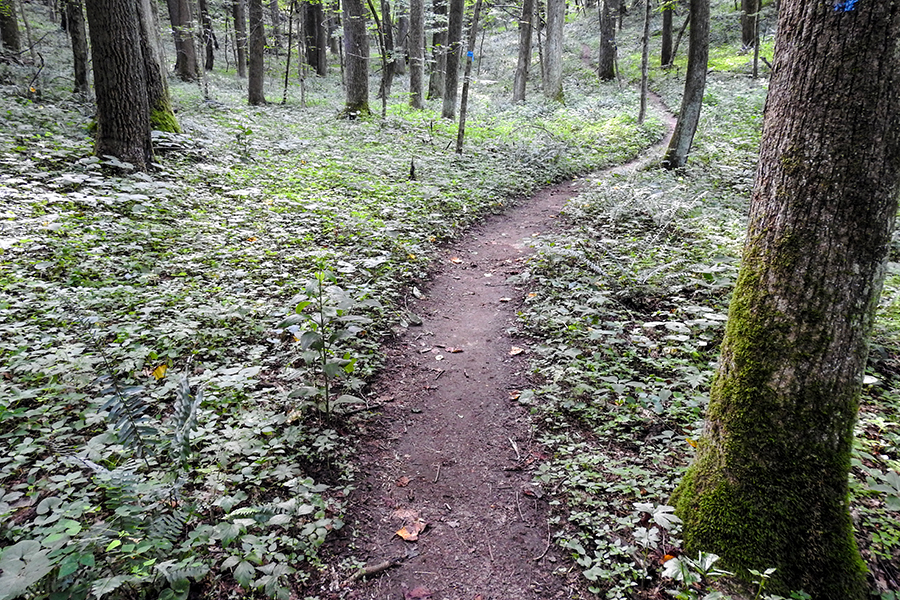 Christmas Rocks State Nature Preserve