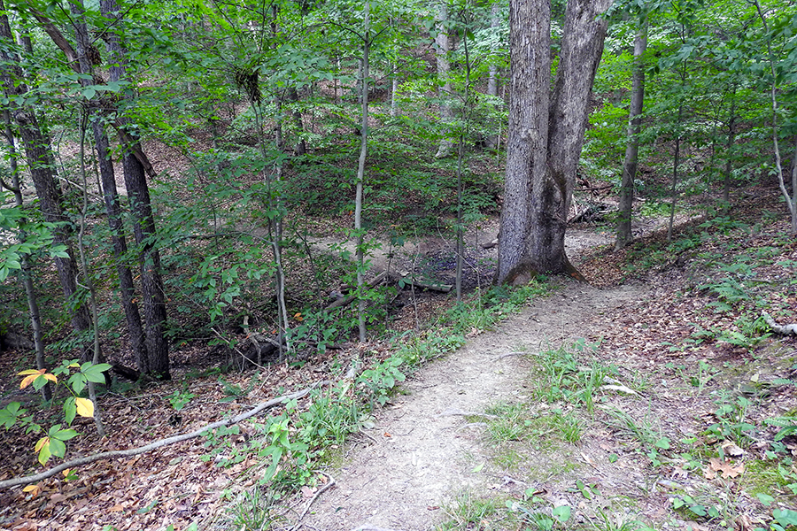 Lake Hope State Park - Peninsula Trail