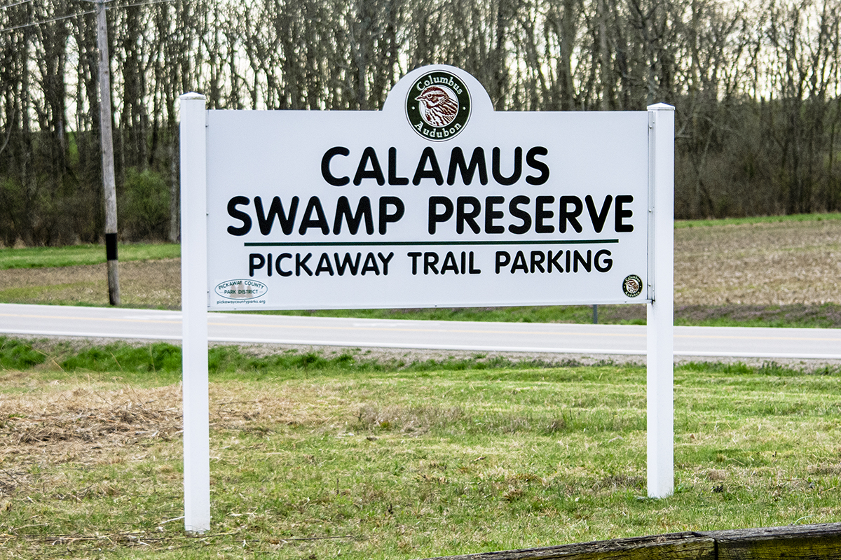 Calamus Swamp Preserve