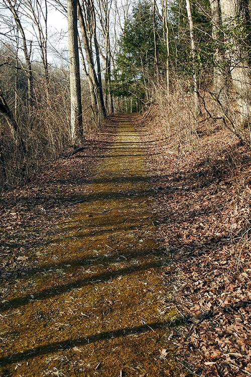Benua Loop Trail & Green Mansions Trail