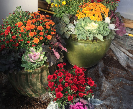 GALLERY | Plant Land Garden Center | Kalispell, Montana