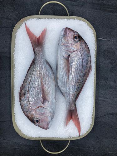 Victorian Snapper Whole Cleaned FRESH | Ash Bros FS