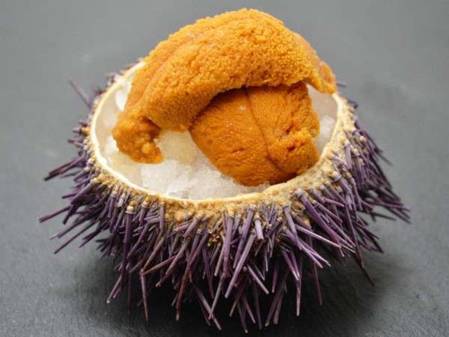 Australian Premium Gold Sea Urchin Roe FROZEN | Ash Bros FS