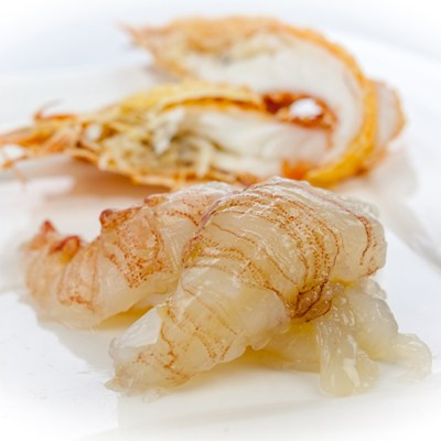 Bug Meat Raw FROZEN | Ash Bros FS