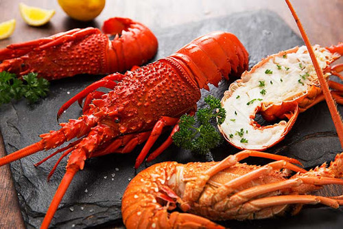 Western Australian Cooked Rock Lobster FROZEN | Ash Bros FS