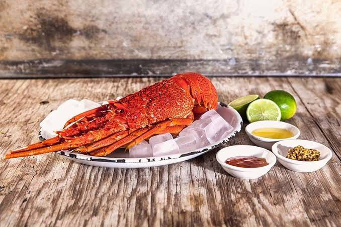 Southern Rock Lobster Cooked Whole FRESH | Ash Bros FS