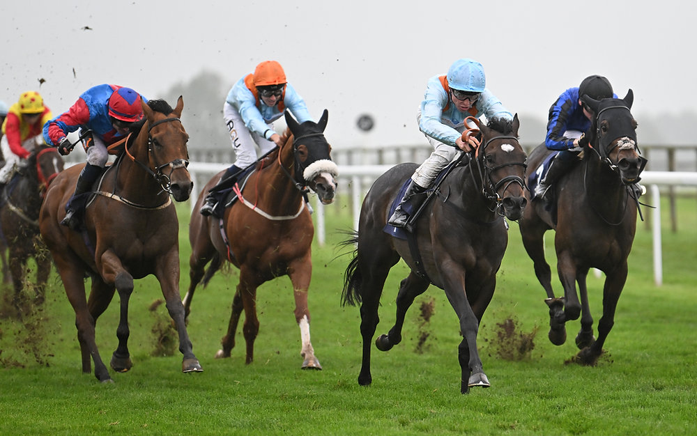 Sergeant Pep Triumphs in Handicap and Becomes our 1000th Winner