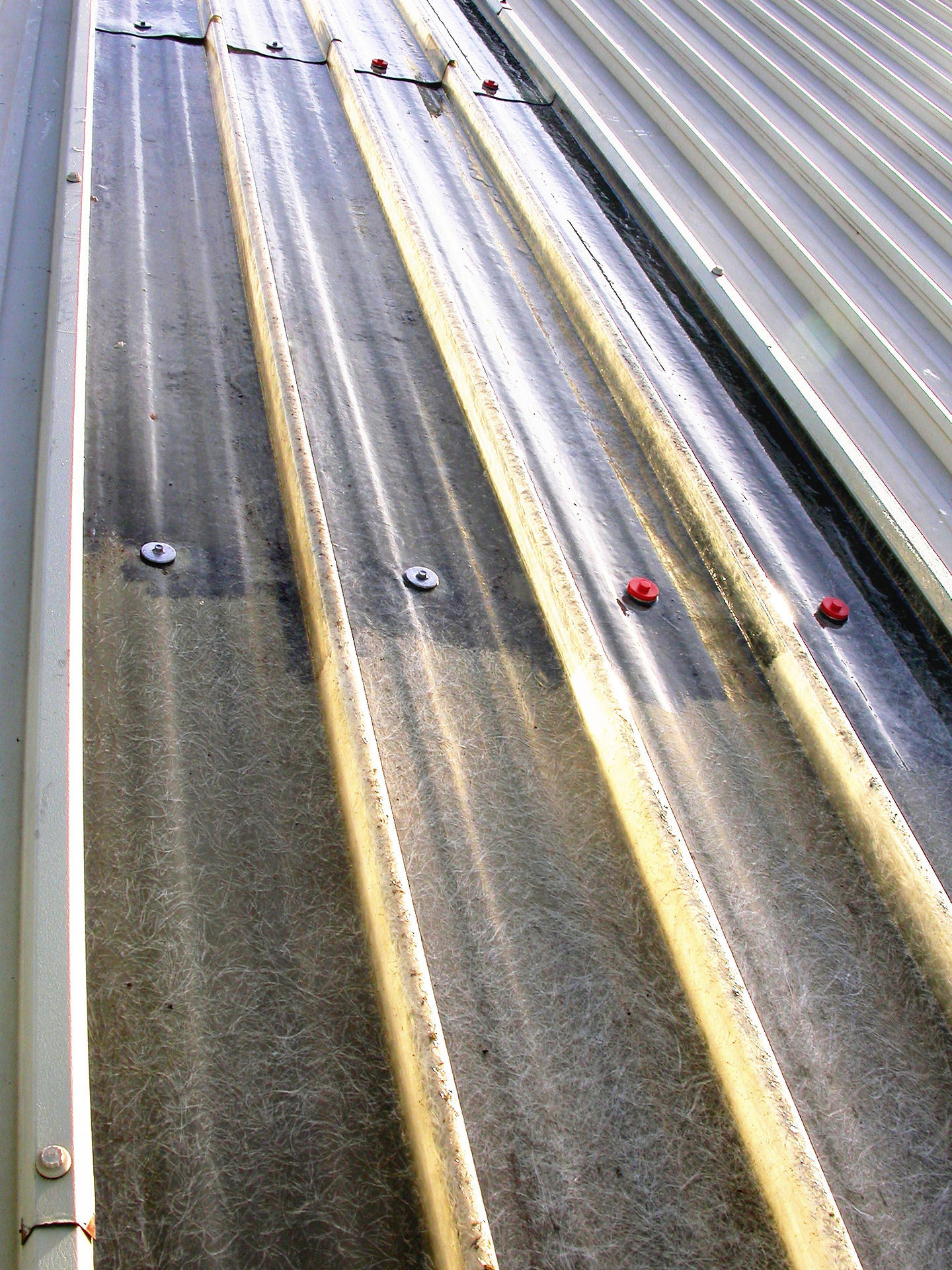 Drisilane I Roofing Programme I ReGlaze