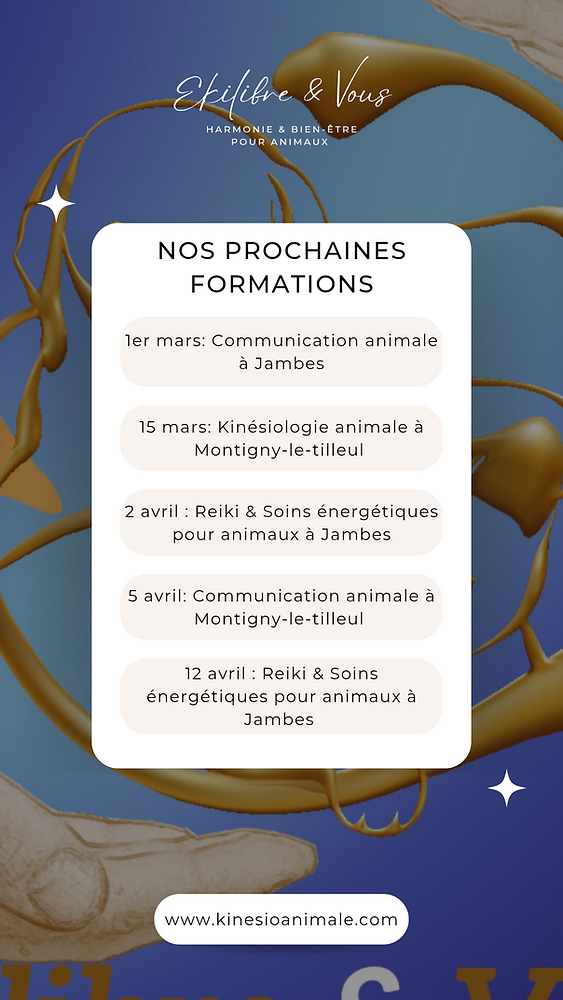 Découvrez nos prochaines formations!