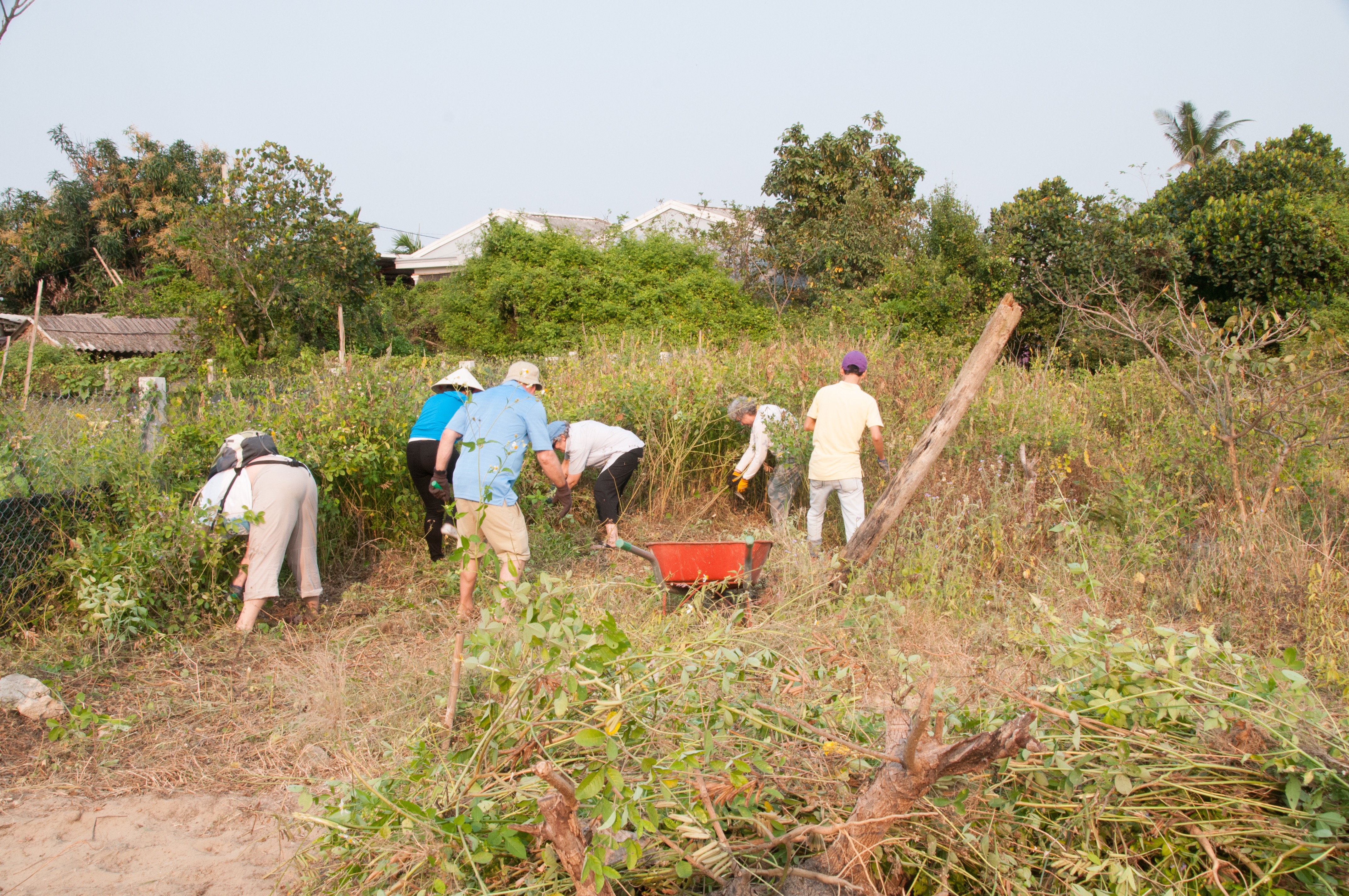 Loving Work Foundation | Peace Through Service