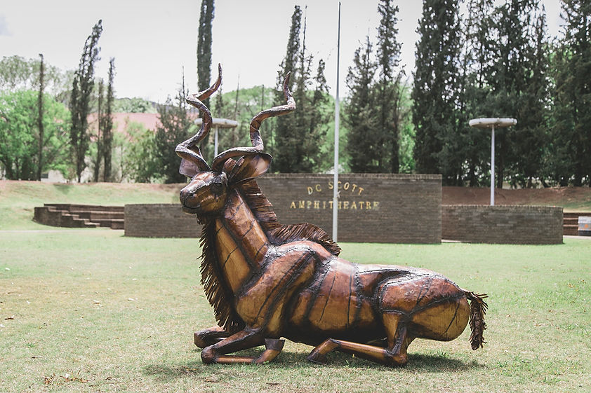 Queen S College Boys High School Eastern Cape