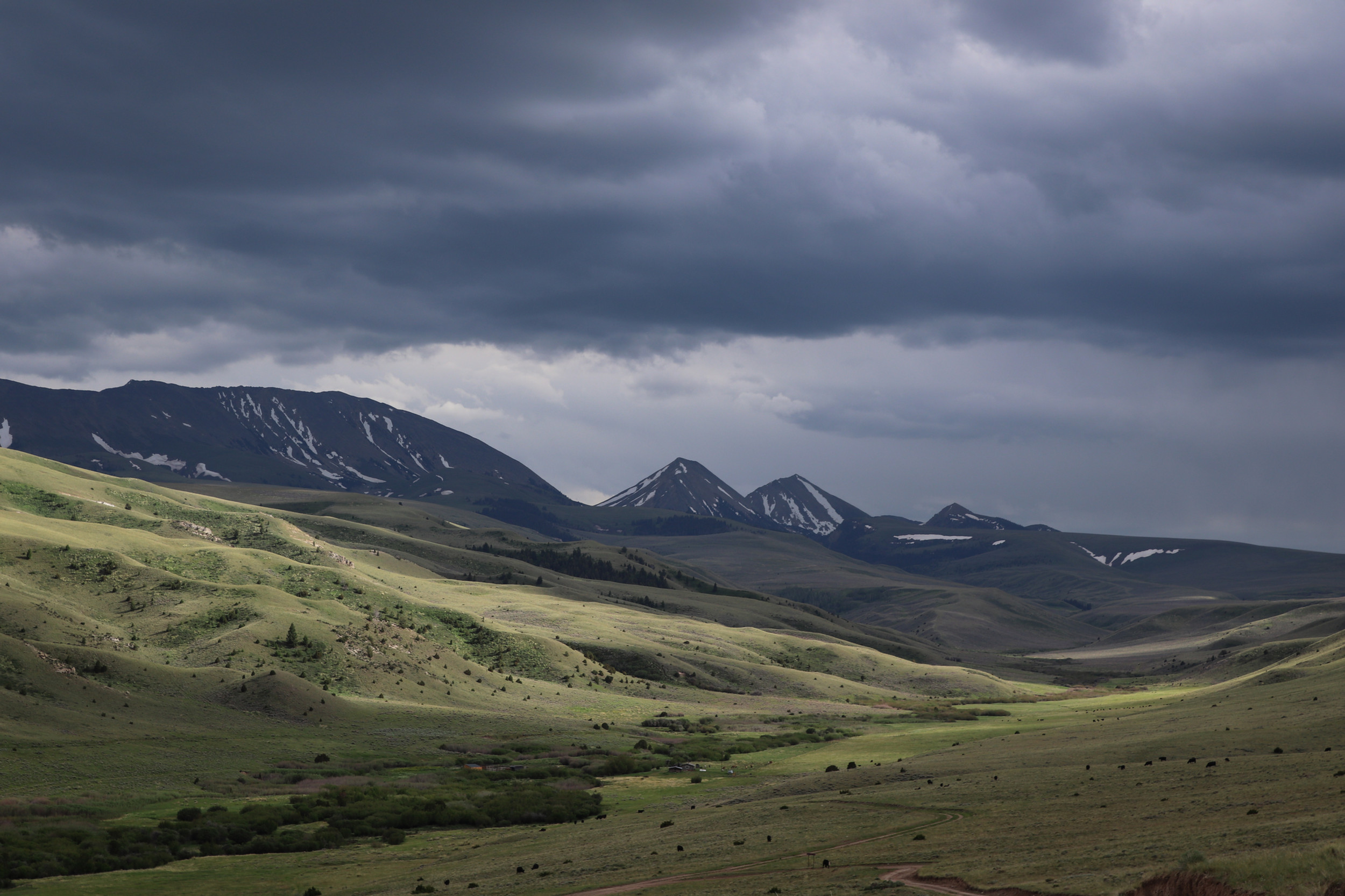Ruby Valley Strategic Alliance | Southwest Montana