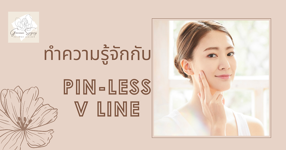 ทำความรู้จักกับ PIN-LESS V LINE