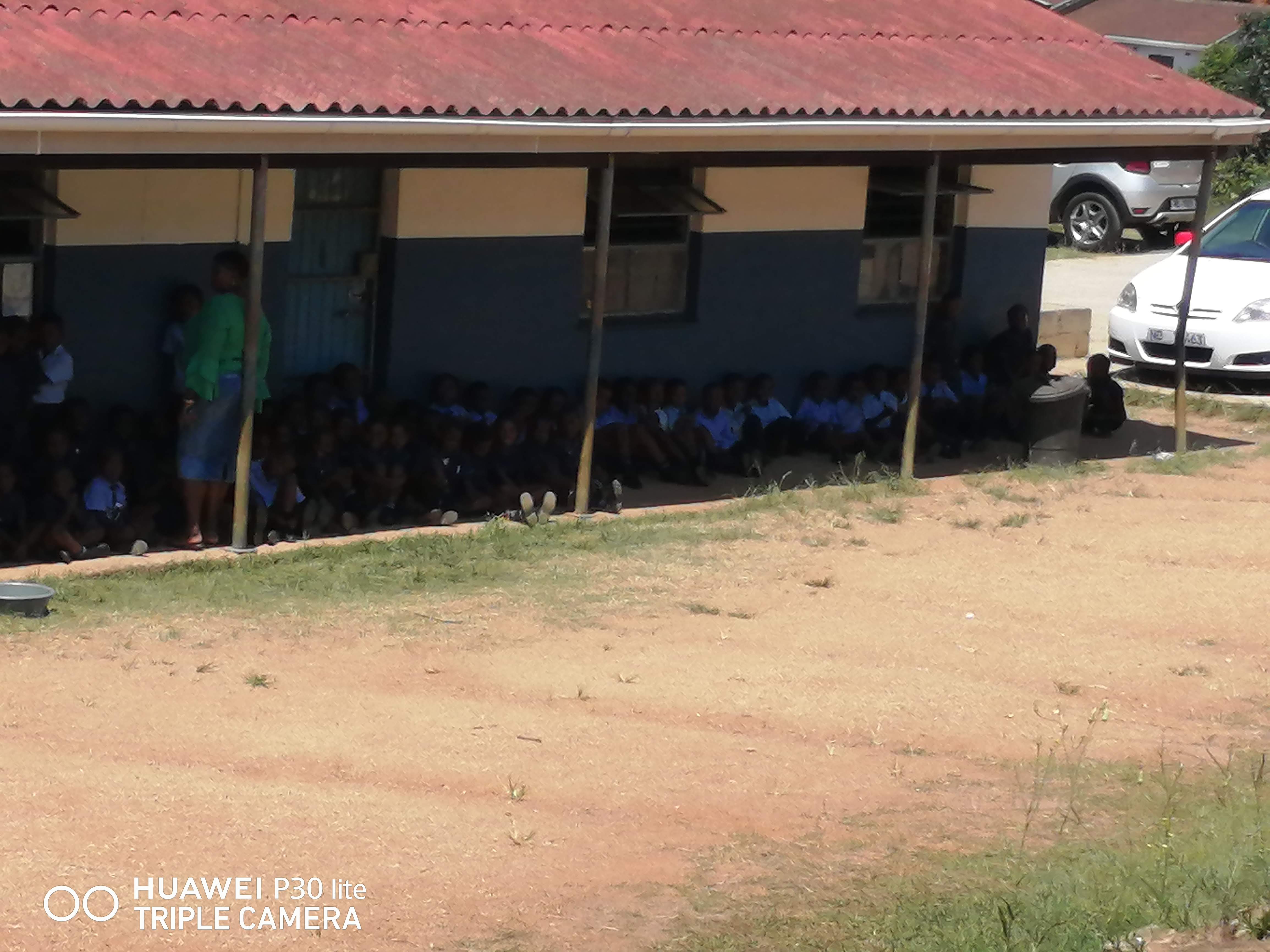 Plants & Pillars-Sophunga Primary School - INanda