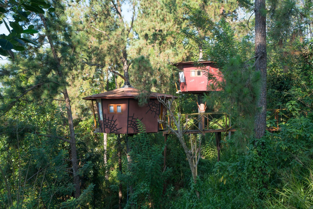 Video tour: The ultimate Sri Lankan tree house