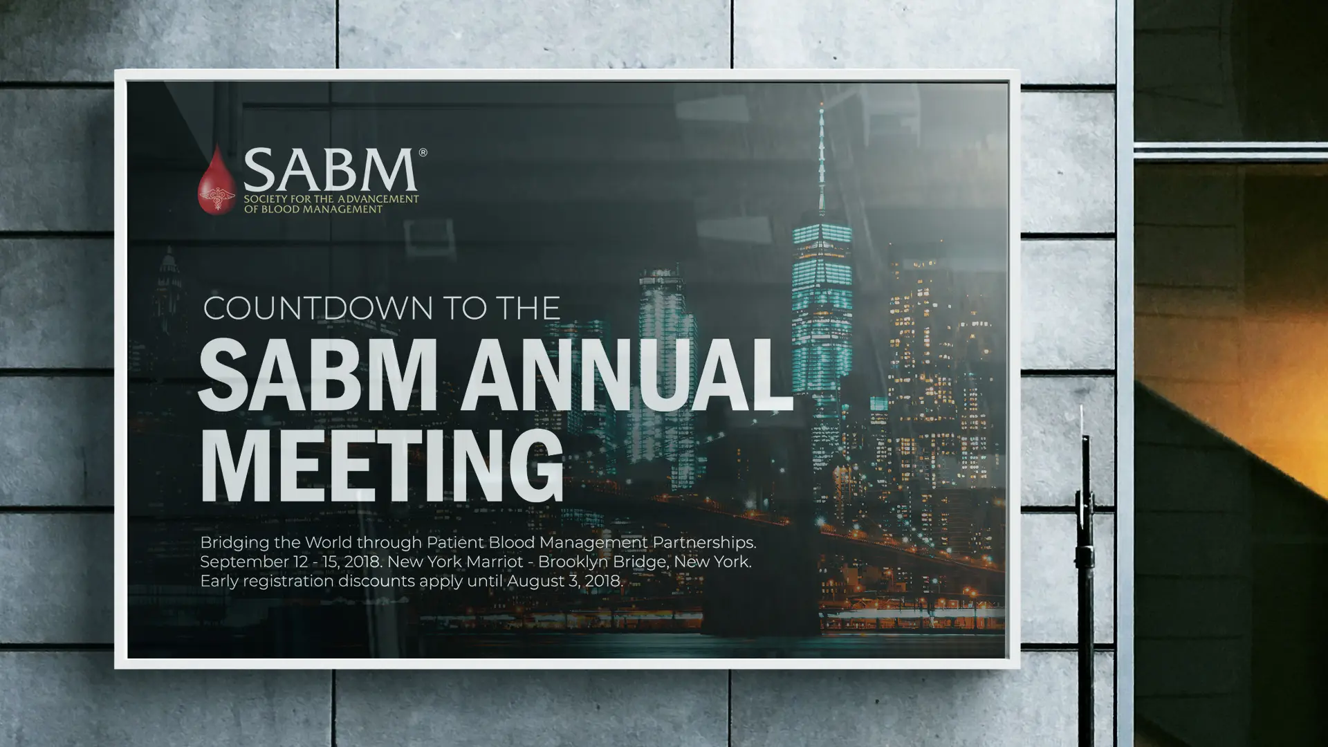 Brand Style Guide & Graphic Design | SABM | Helicoid Studio