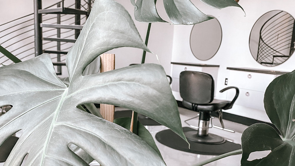 HAIR AND SALON TERMS EXPLAINED