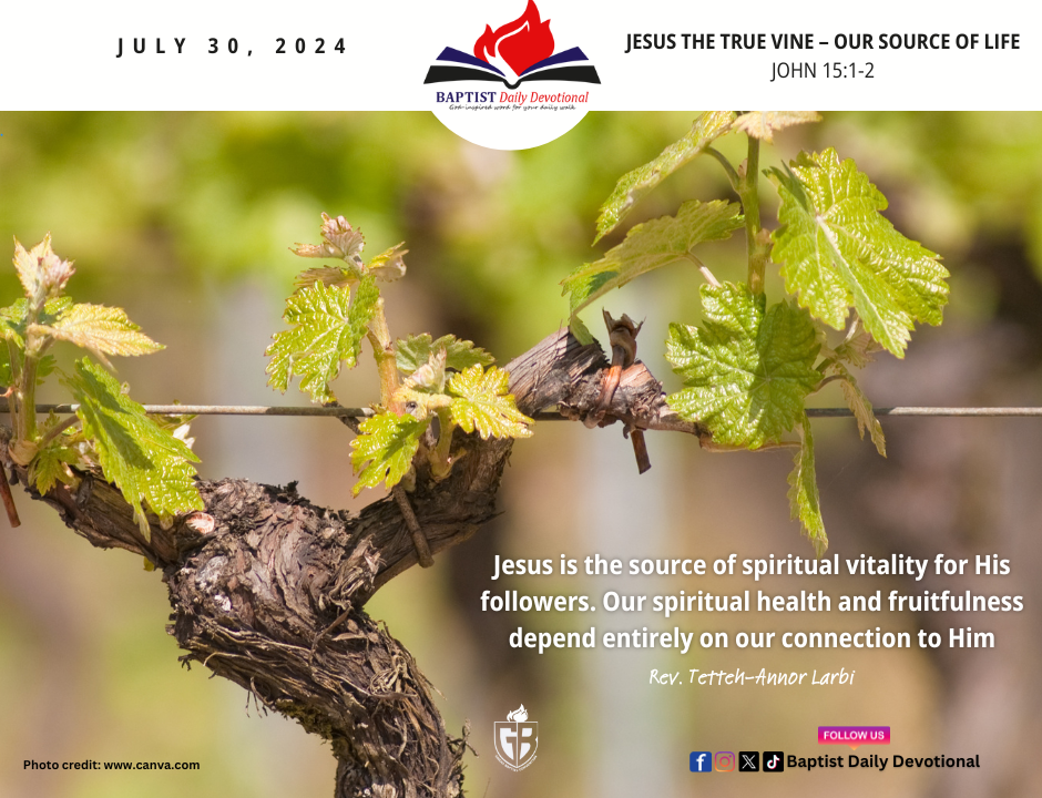 Jesus the True Vine - Our Source of Life