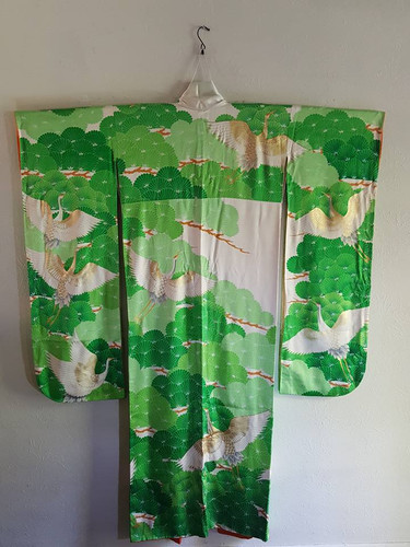 Ohio Kimono | Green Furisode Kimono
