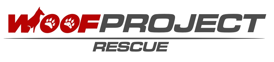 AVAILABLE DOGS | the-woof-project