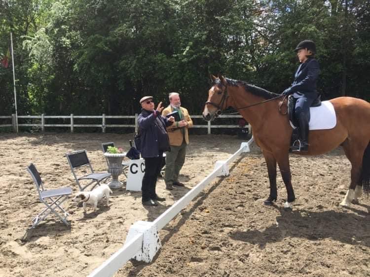 Stages Enfants/ Ados et Adultes | Lord Newcastle Stables