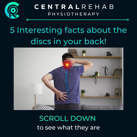 5 Interesting Facts about your Back!