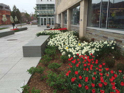 Cornell's Statler Hall